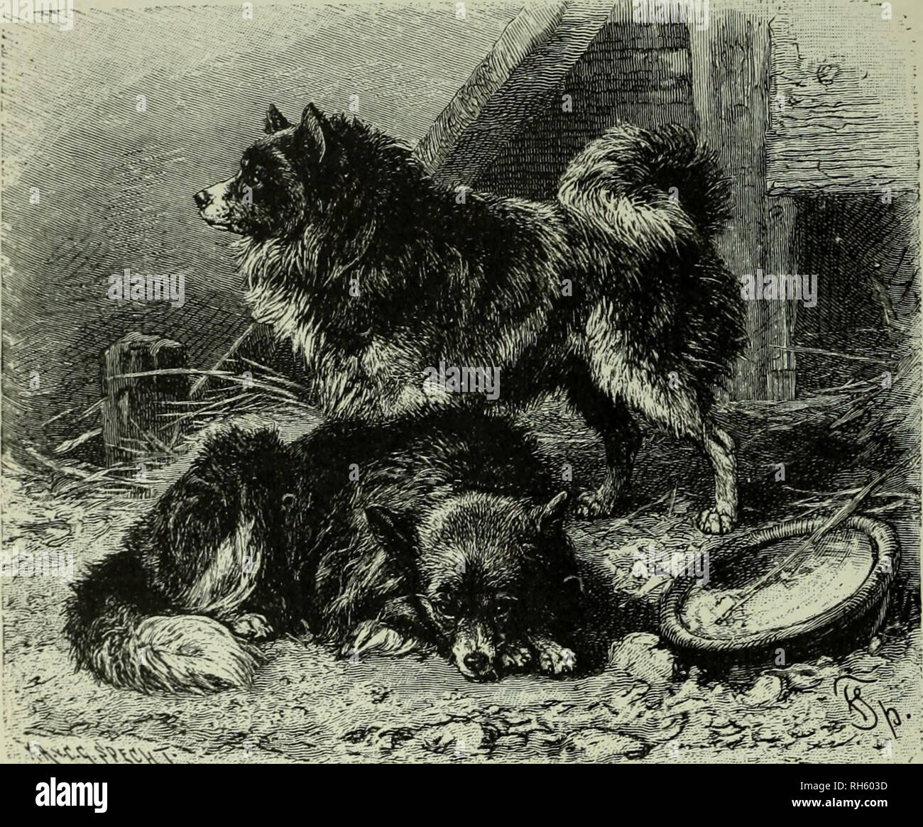 Sinewy body hi-res stock photography and images - Alamy