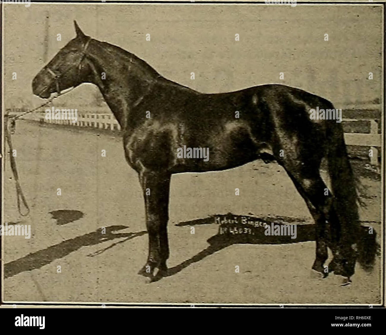 Laura roge hi-res stock photography and images - Alamy
