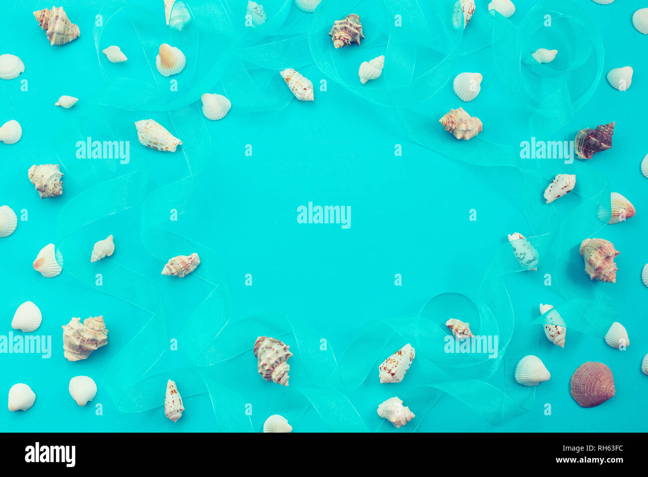 Different sea shells on blue background. Top view flat lay Stock Photo ...