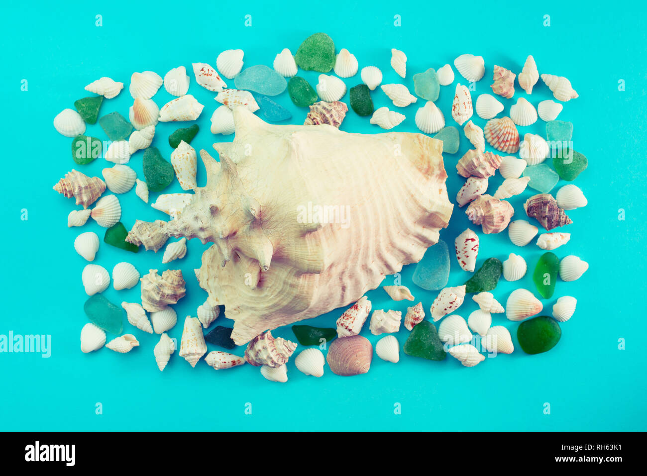 Different sea shells on blue background. Top view flat lay Stock Photo ...