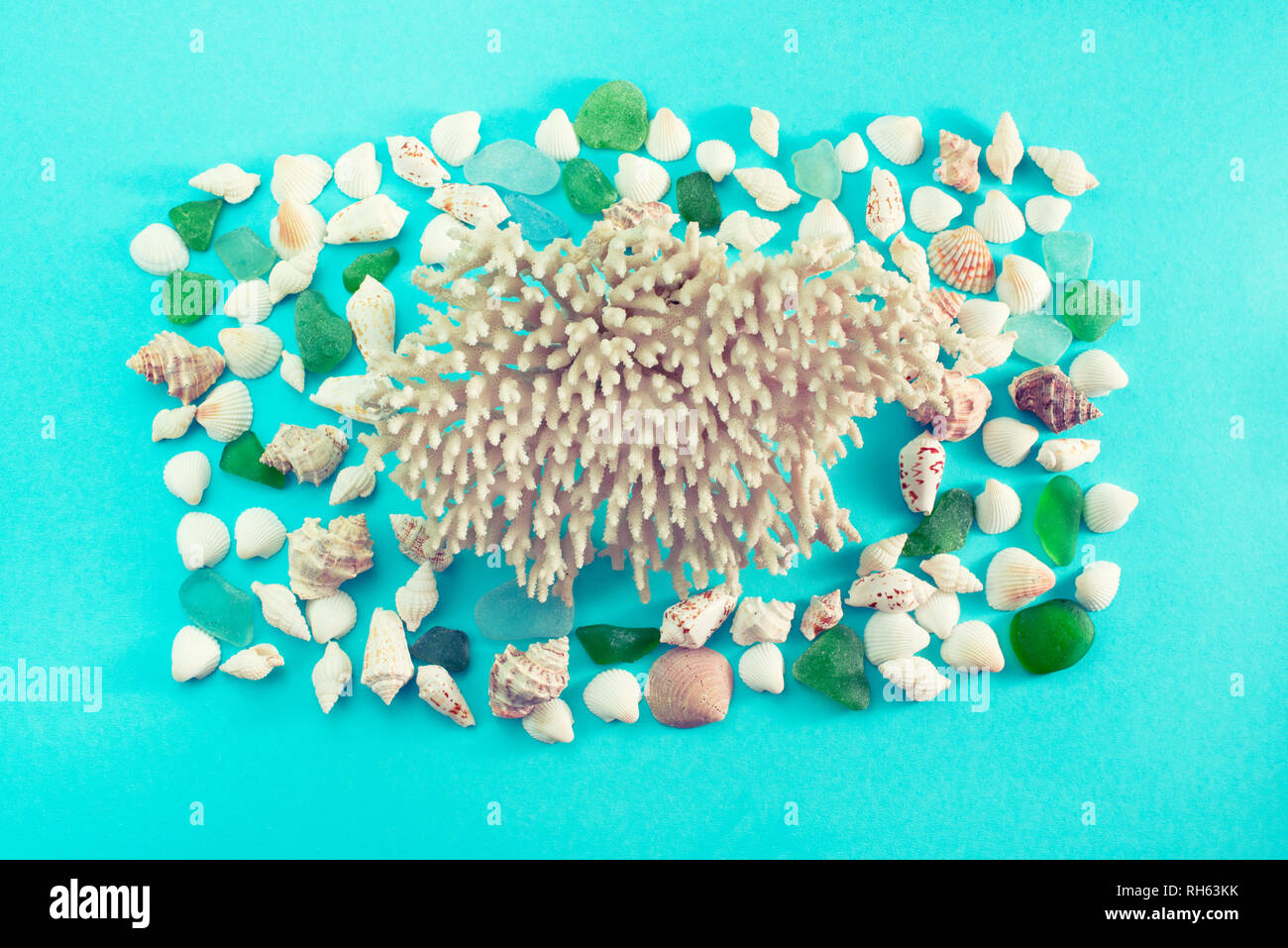 Different sea shells on blue background. Top view flat lay Stock Photo ...