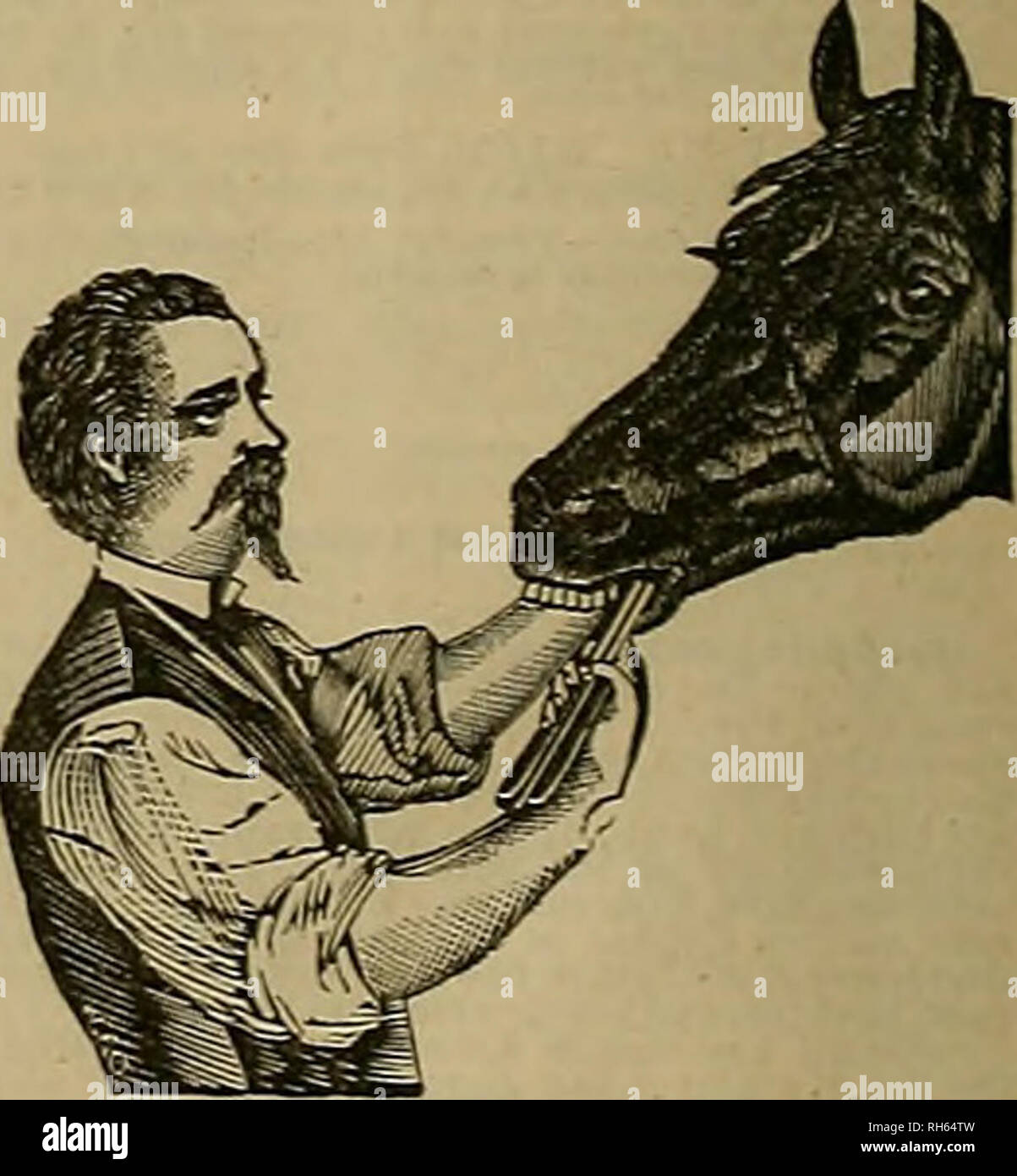 Ial structure hi-res stock photography and images - Alamy