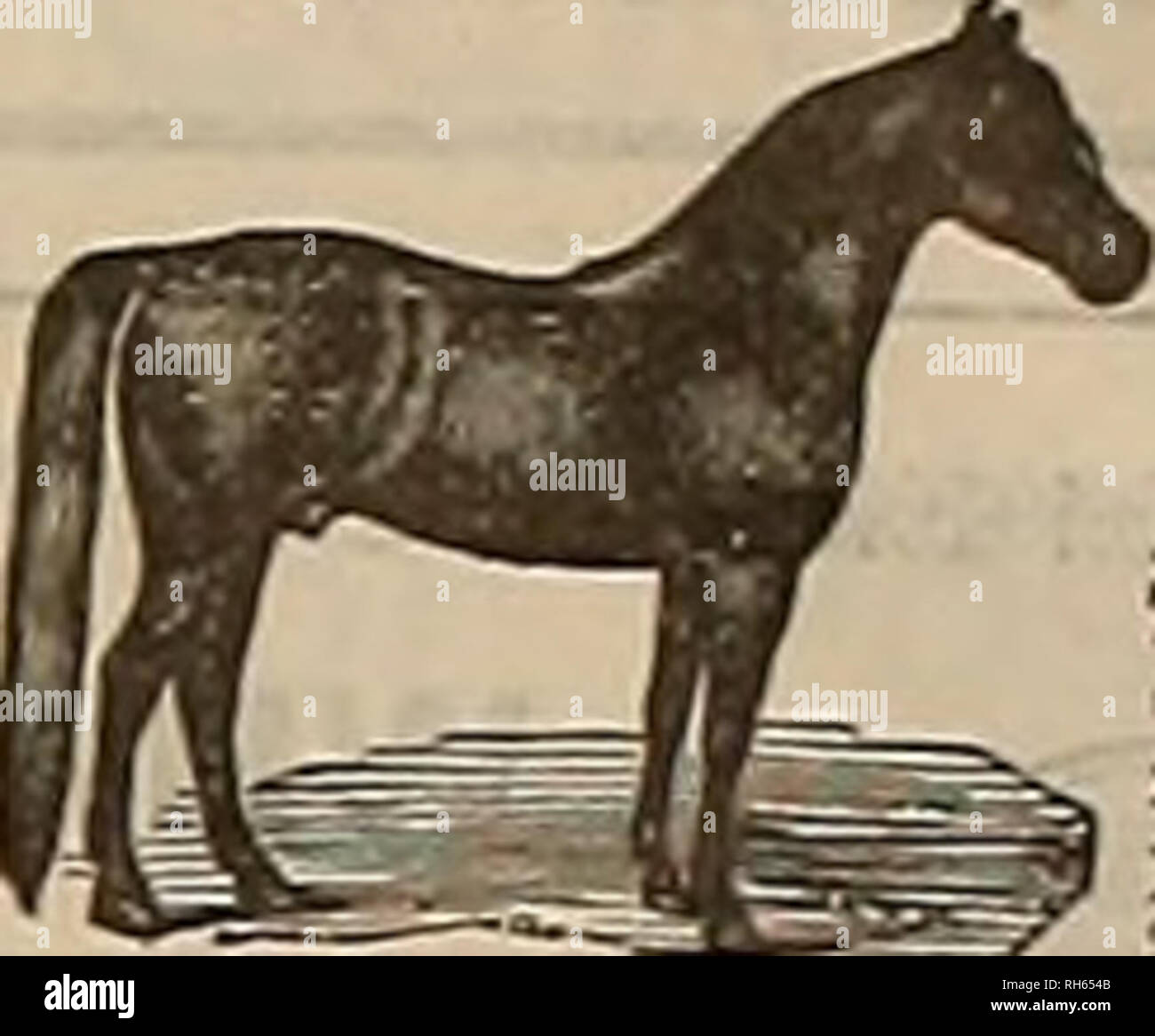 James Burgoyne High Resolution Stock Photography and Images - Alamy