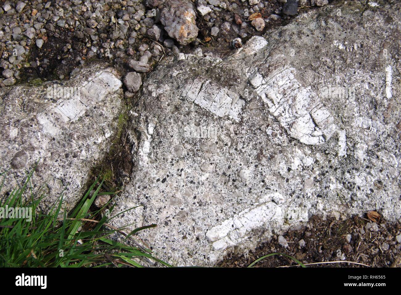 Natural Background Close Up of Cornubian Granite with Large Phenocrysts ...