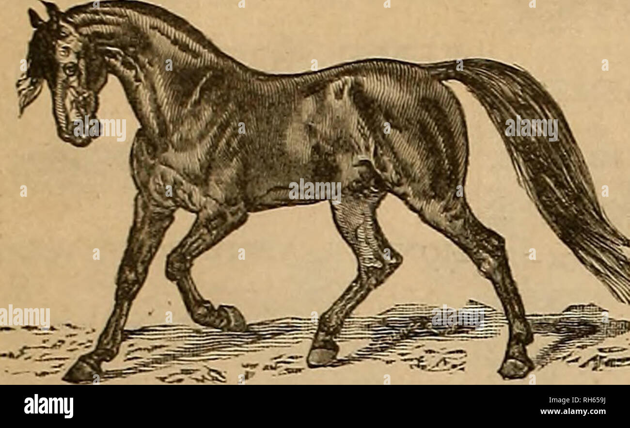 Weighs 820 pounds hi-res stock photography and images - Alamy