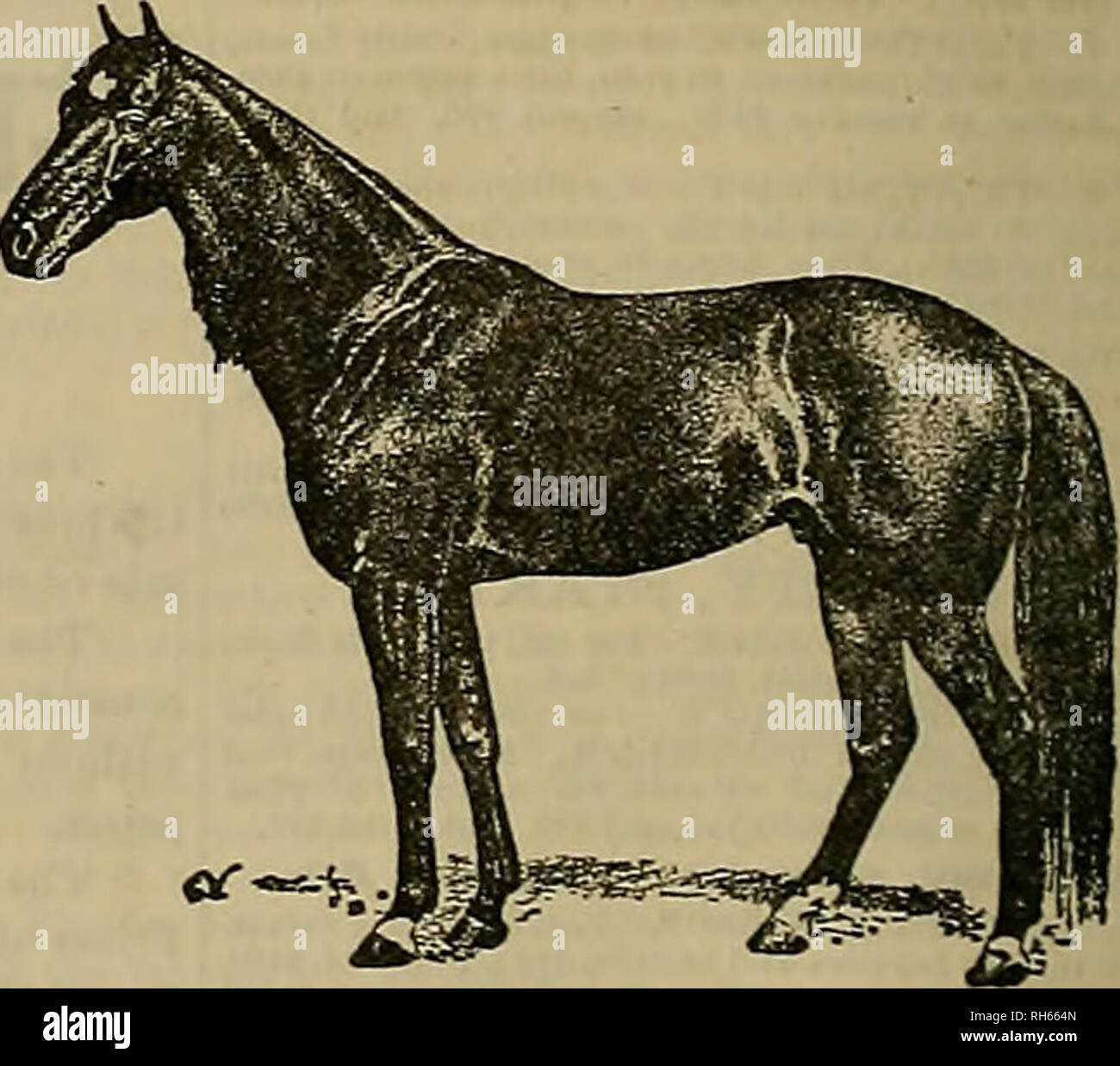 Brum tv hi-res stock photography and images - Alamy