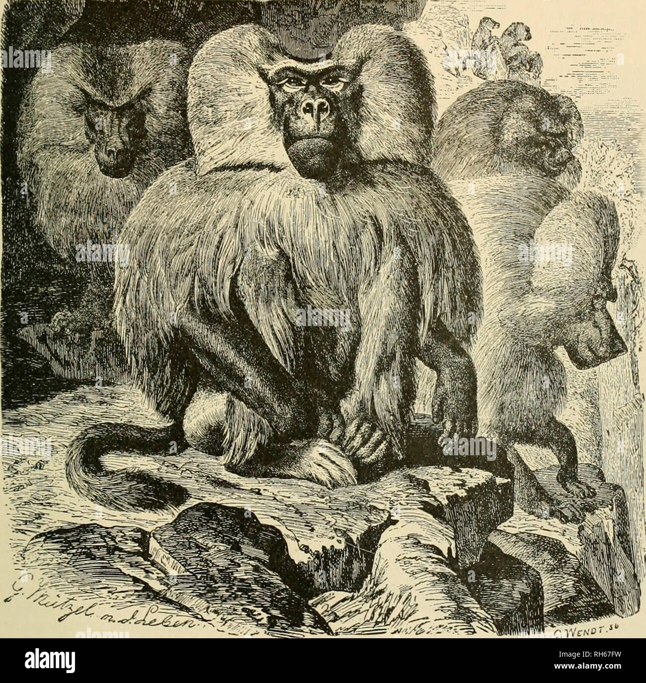 Self mocking hi-res stock photography and images - Alamy