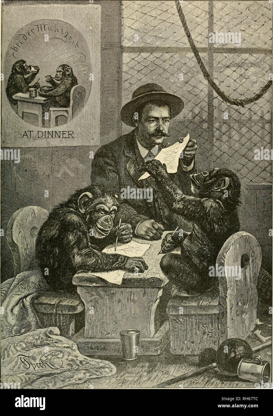 Famous Animals In History