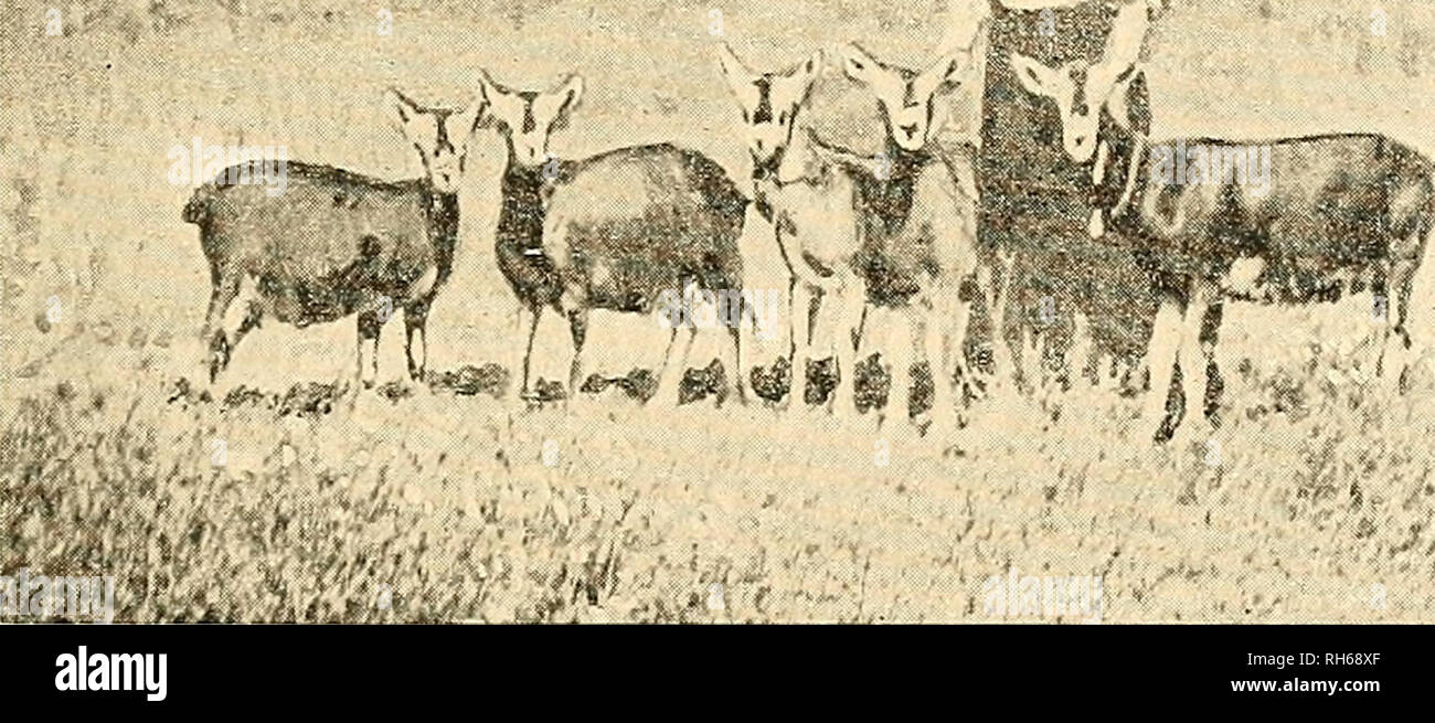 Ointment cloth hi-res stock photography and images - Alamy