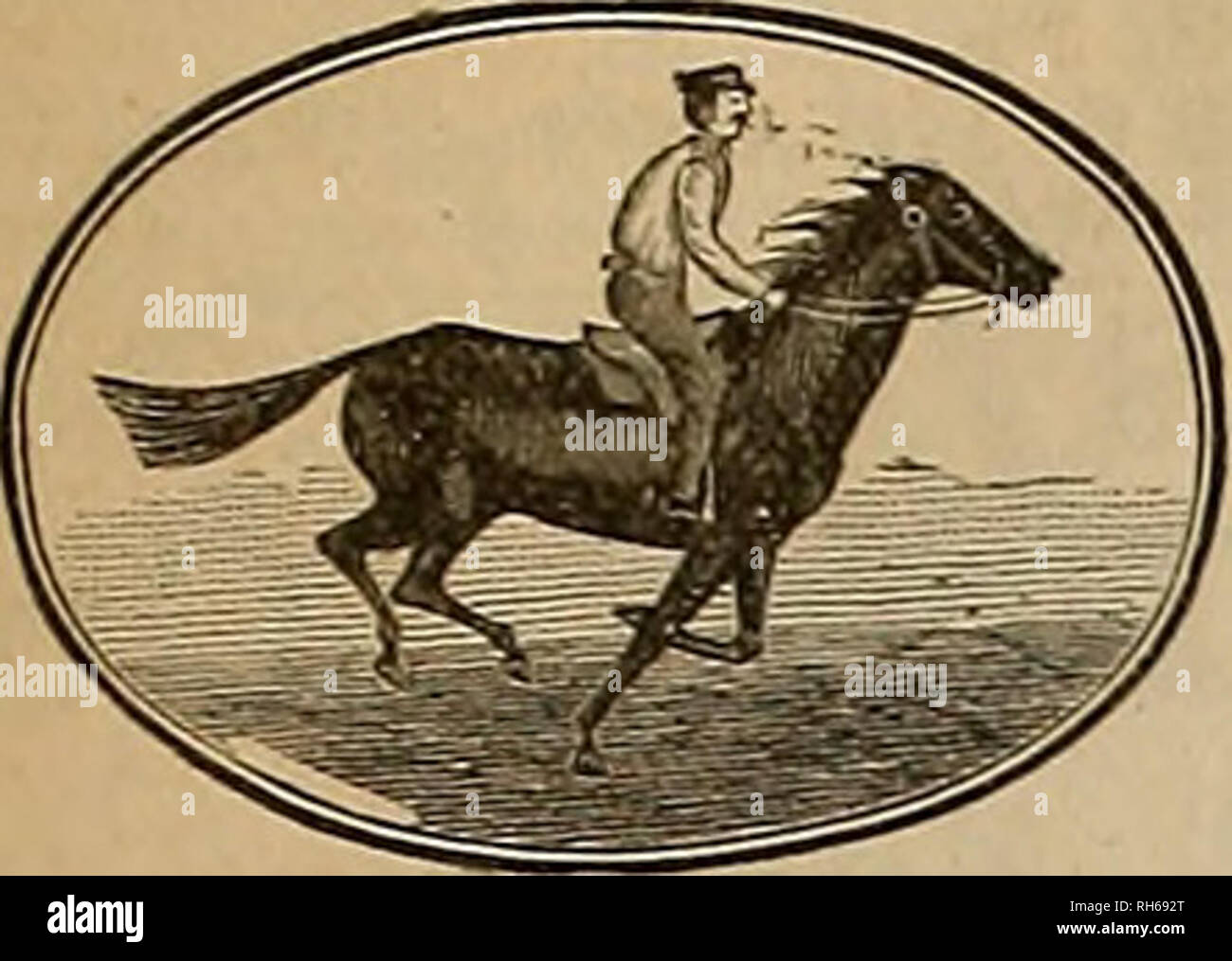 Maces spring hi-res stock photography and images - Alamy