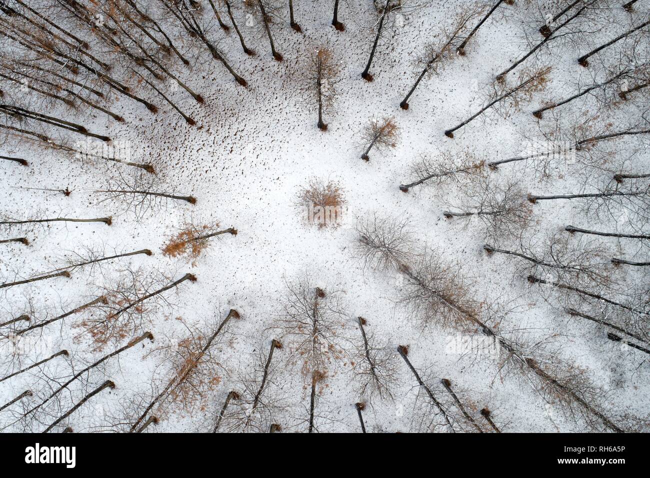 February 1, 2019 - Huai'An, Huai'an, China - HuaiÃ¢â‚¬â„¢an, CHINA-The ...