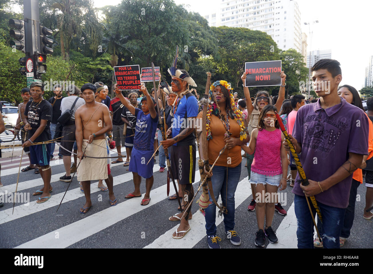 São Paulo, Brazil. 31st January, 2019. PROTEST INDIGENOUS - Indigenous ...