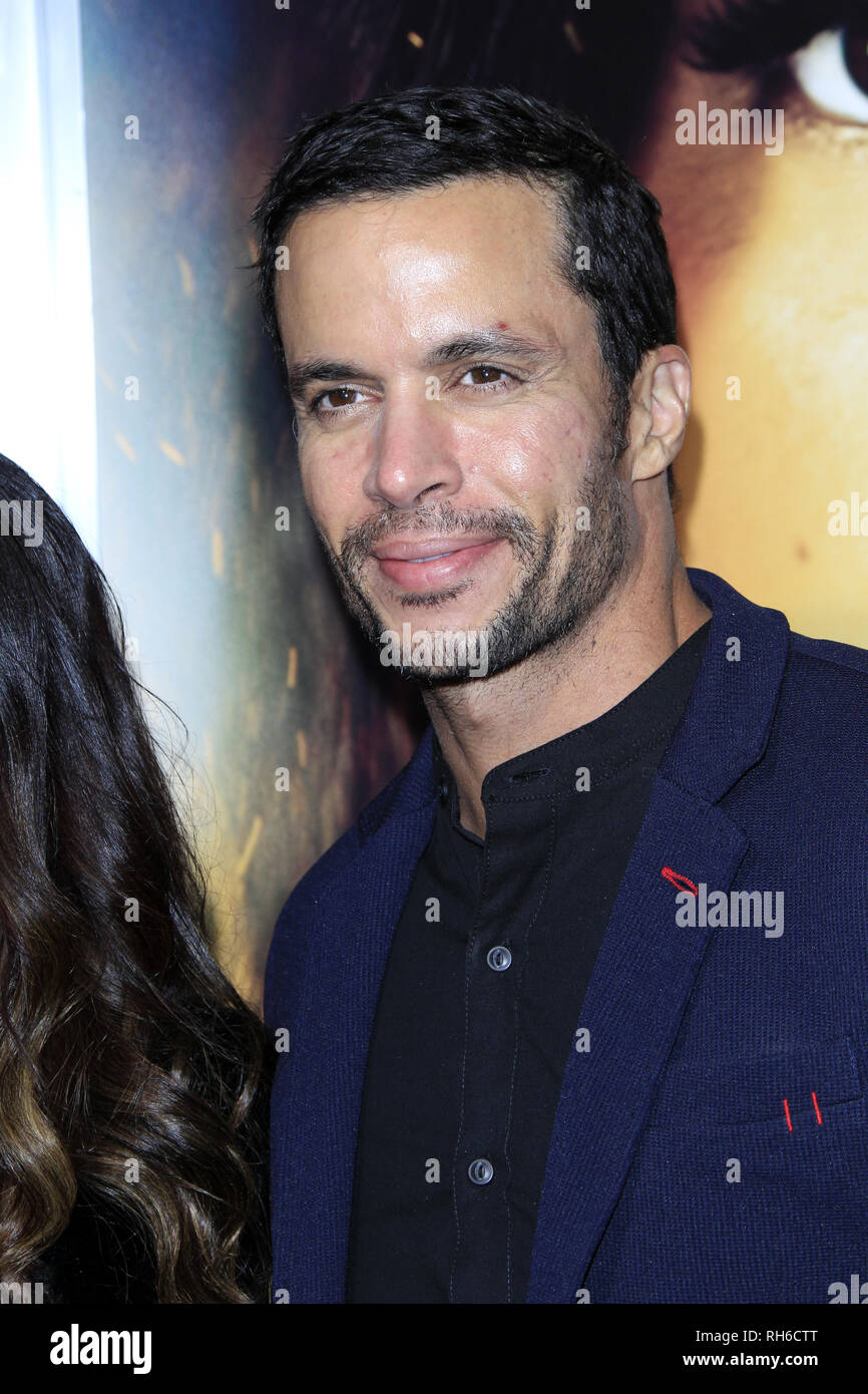 January 30, 2019 - Los Angeles, CA, USA - LOS ANGELES - JAN 30: Matt ...