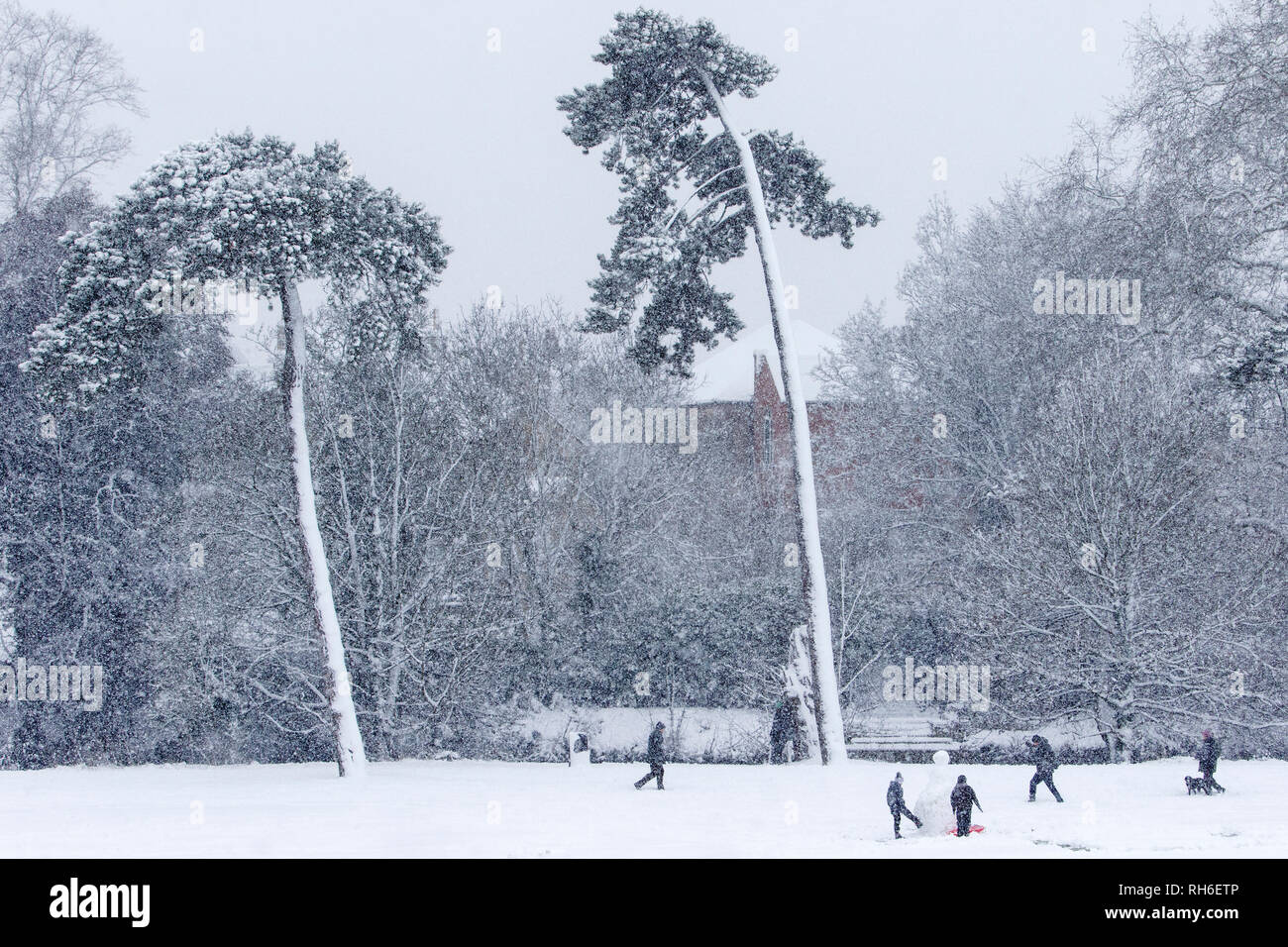 Chippenham, Wiltshire, UK. 1st February, 2019. Parents and children ...