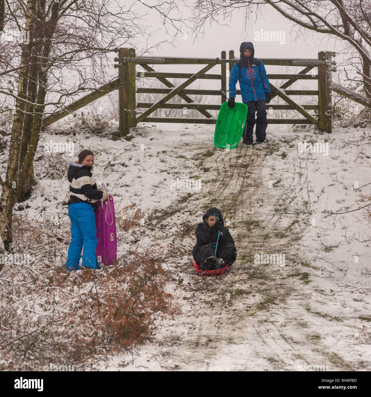 Children on sledges hi-res stock photography and images - Alamy