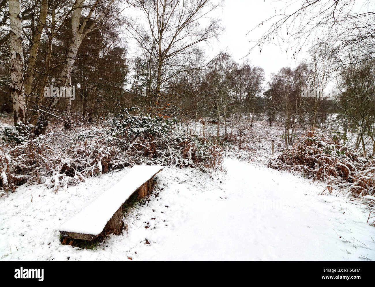 Improving habitats hi-res stock photography and images - Alamy