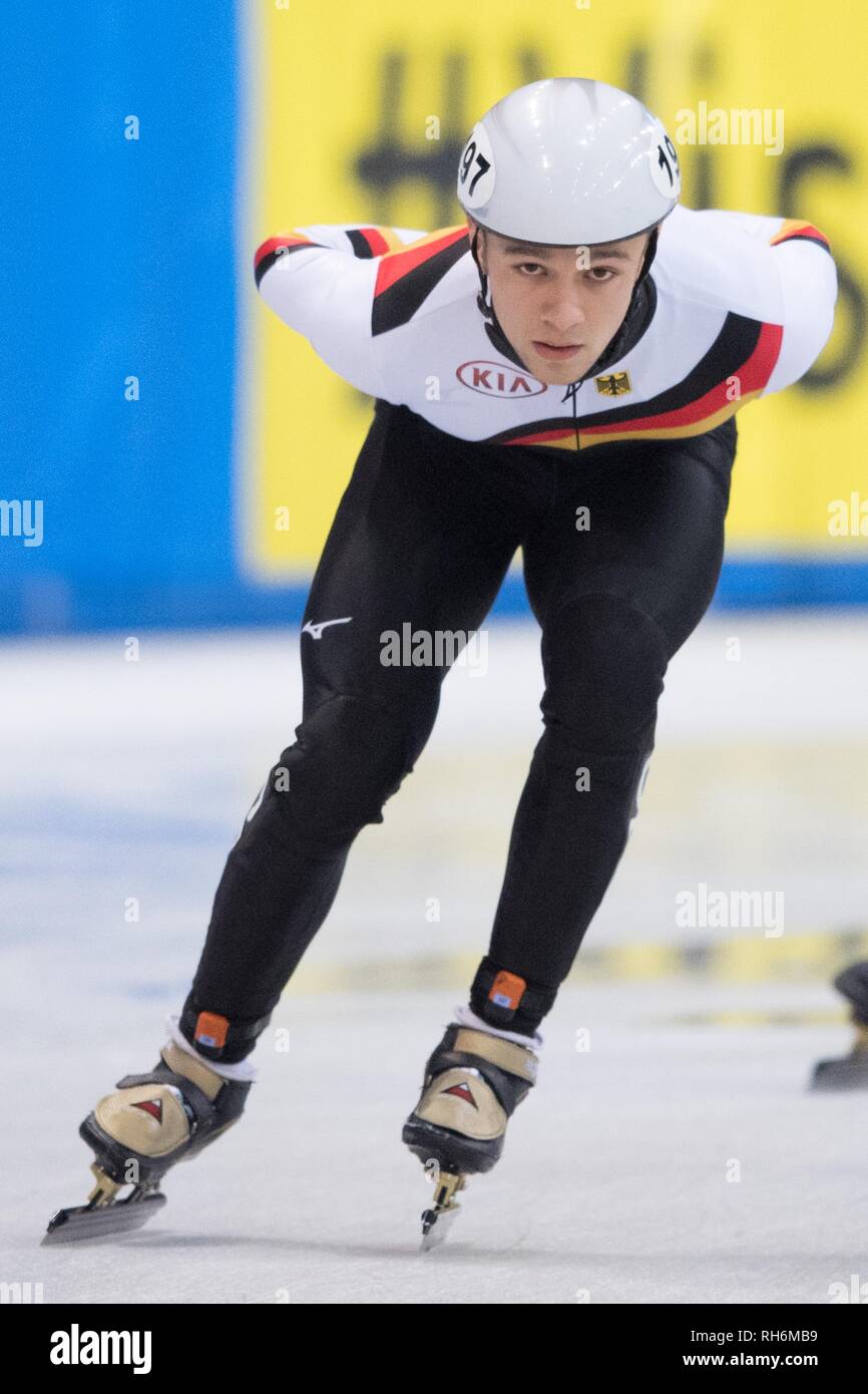 01 February 2019, Saxony, Dresden: Shorttrack: World Cup, quarter ...