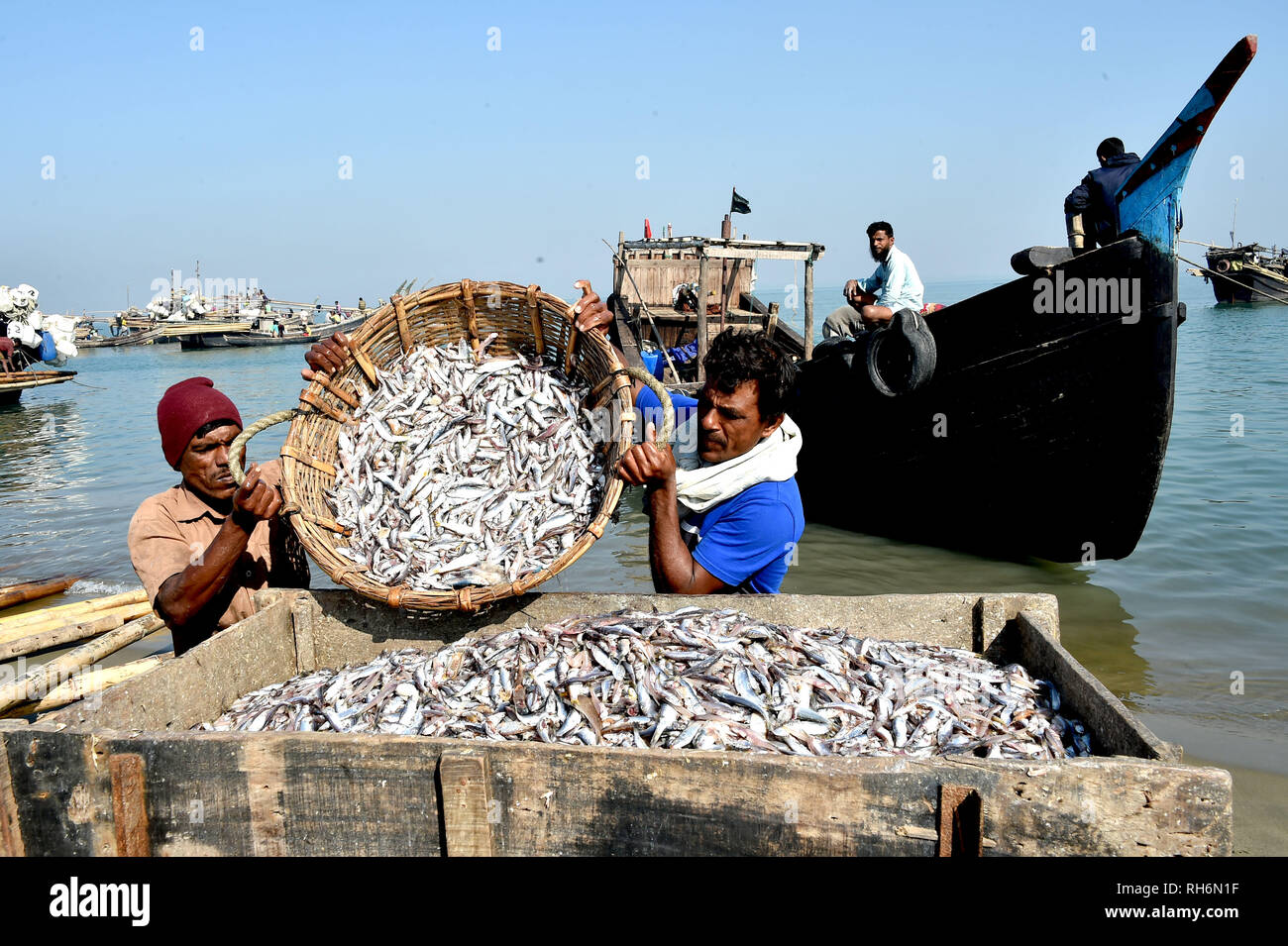 (190201) -- COX'S BAZAR (BANGLADESH), Feb. 1, 2019 (Xinhua ...