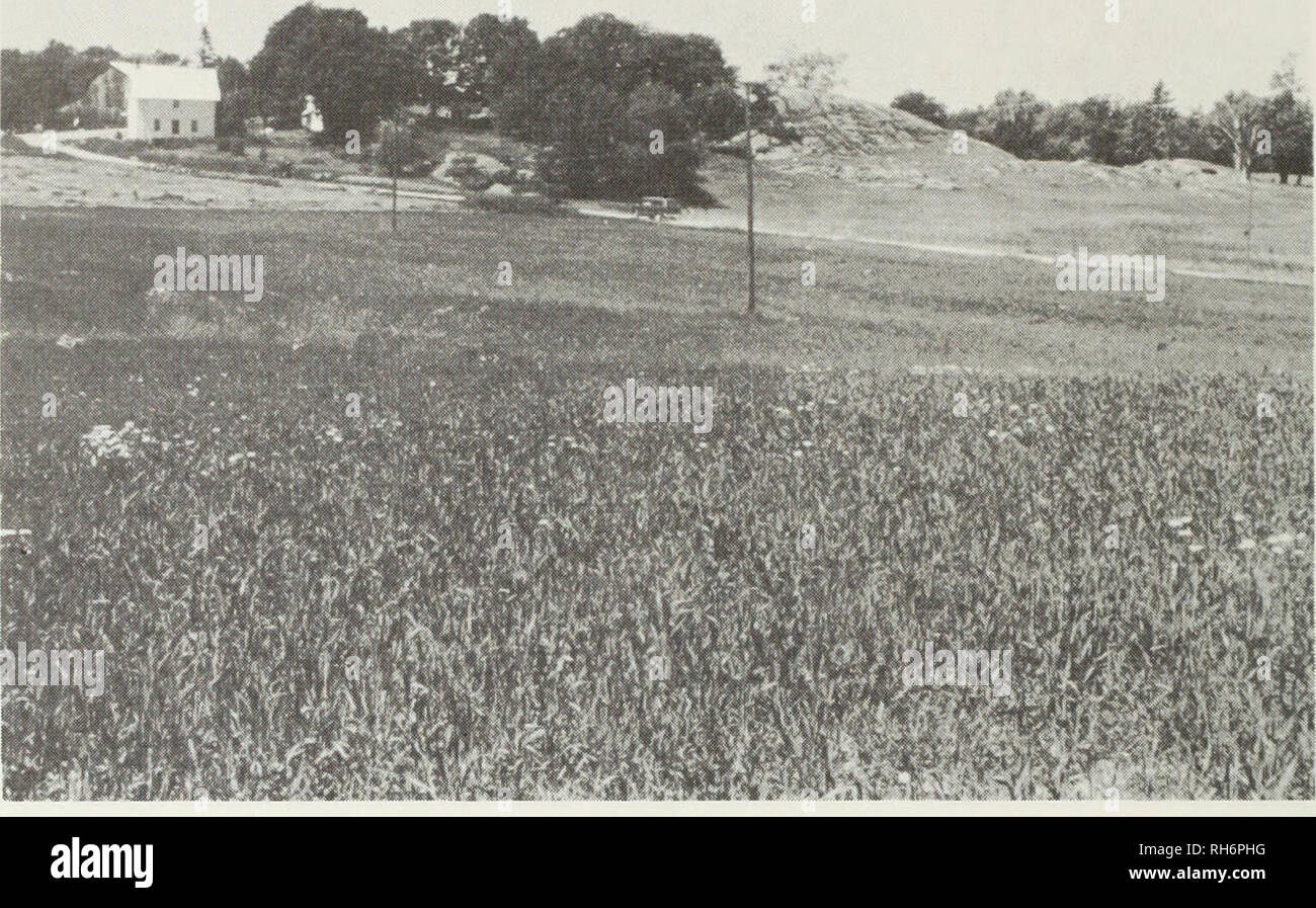 . Breeding birds of Ontario : nidiology and distribution. Birds; Birds ...