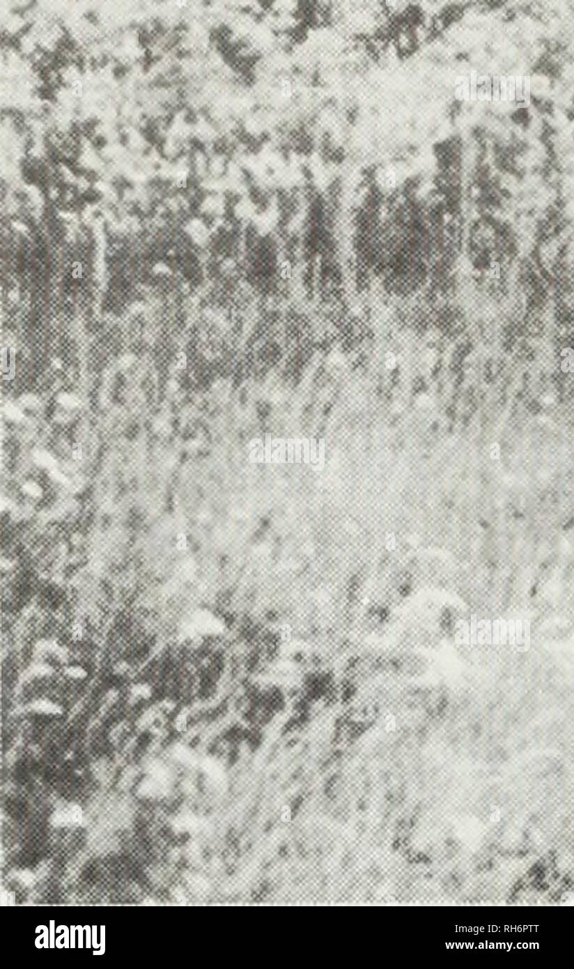 Photographed in 1975 photo hi-res stock photography and images - Alamy