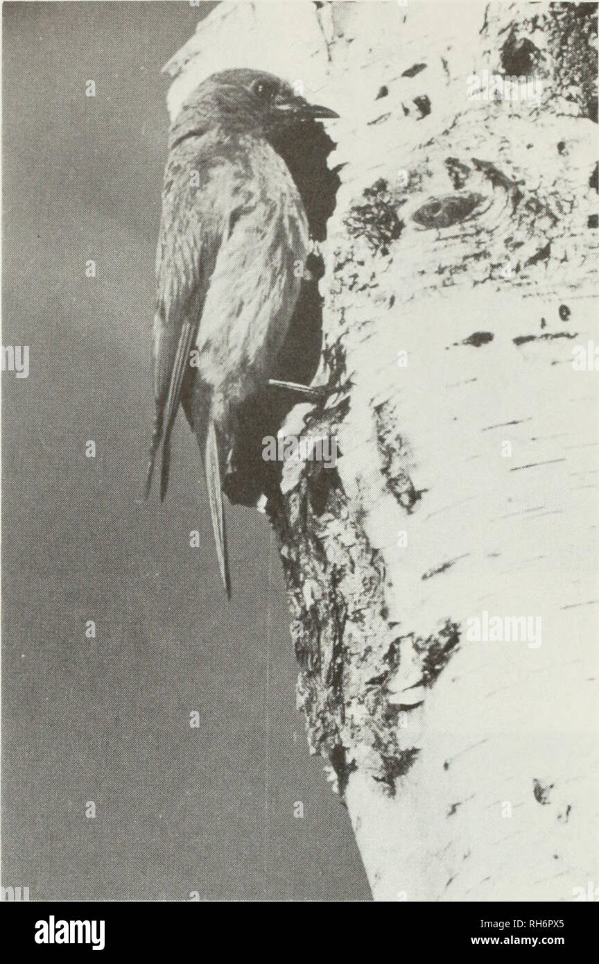 . Breeding birds of Ontario : nidiology and distribution. Birds; Birds ...