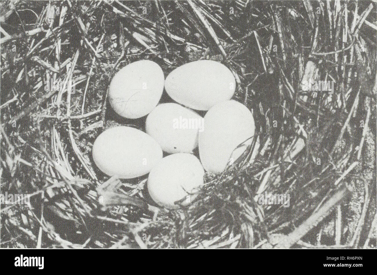 174 355 hi-res stock photography and images - Alamy