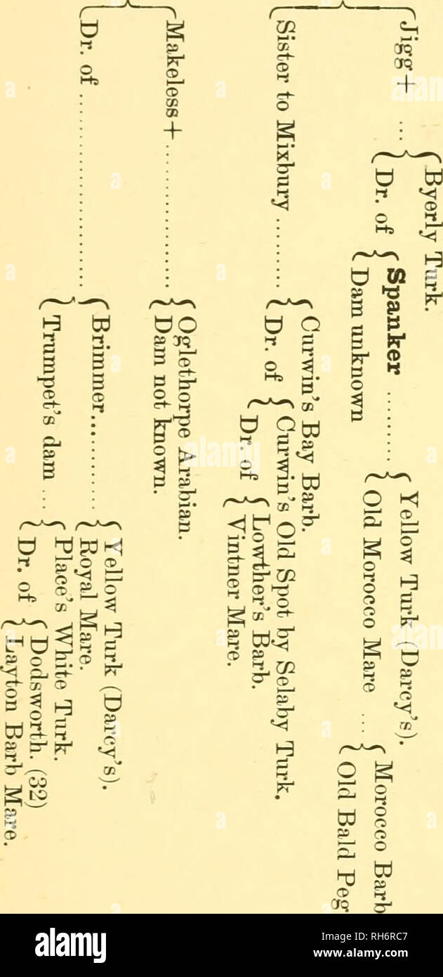 . Breeding racehorses by the figure system. Horses; Horses; Horse ...