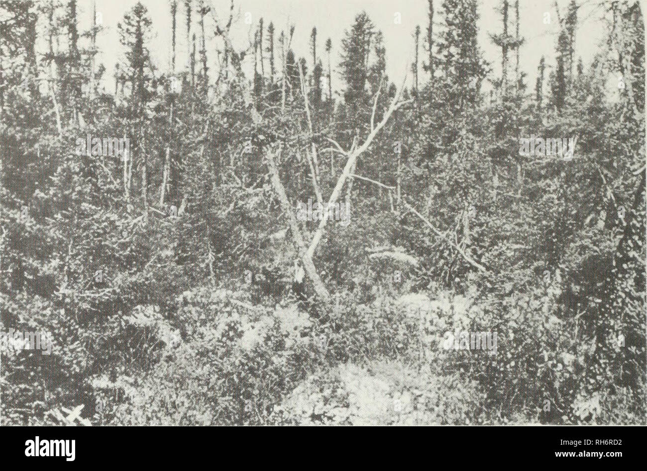 Photographed 1981 photo hi-res stock photography and images - Alamy