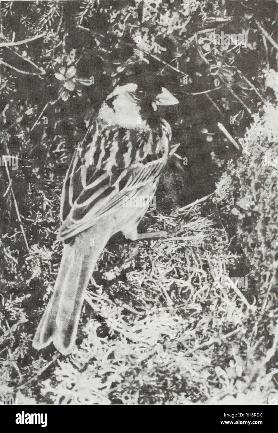 . Breeding birds of Ontario : nidiology and distribution. Birds; Birds ...