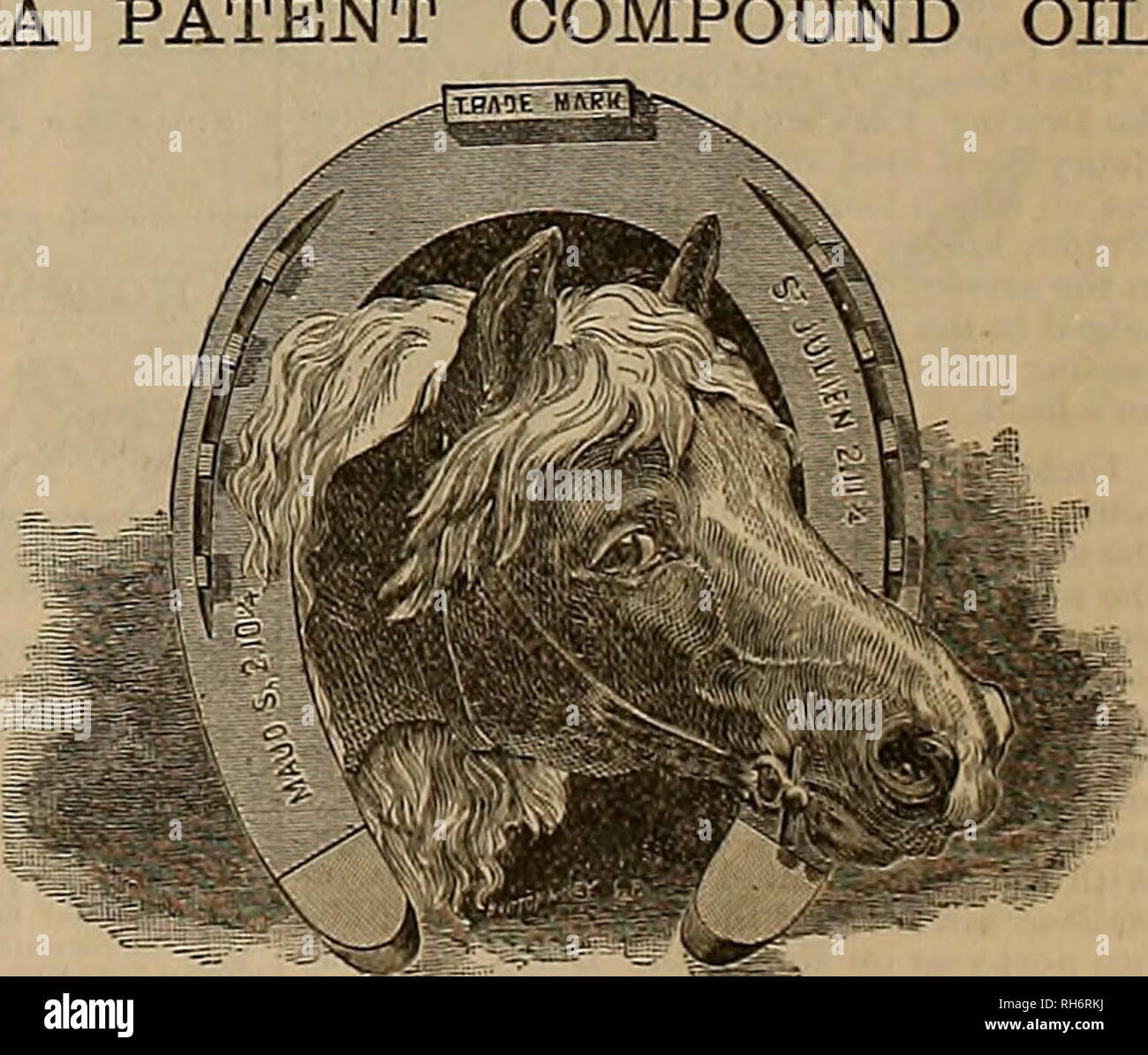 Bot ox hi-res stock photography and images - Alamy