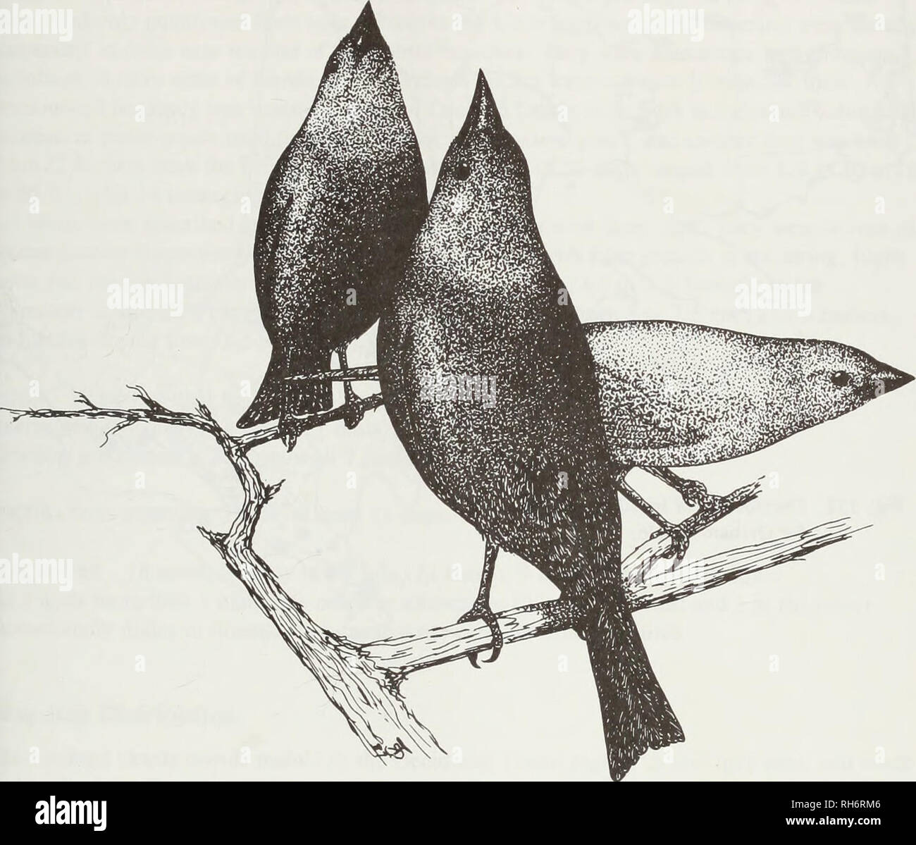 . Breeding birds of Ontario : nidiology and distribution. Birds; Birds ...