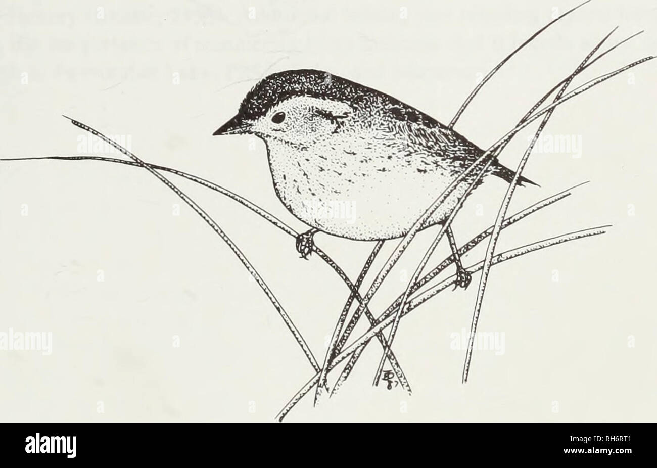 . Breeding birds of Ontario : nidiology and distribution. Birds; Birds ...