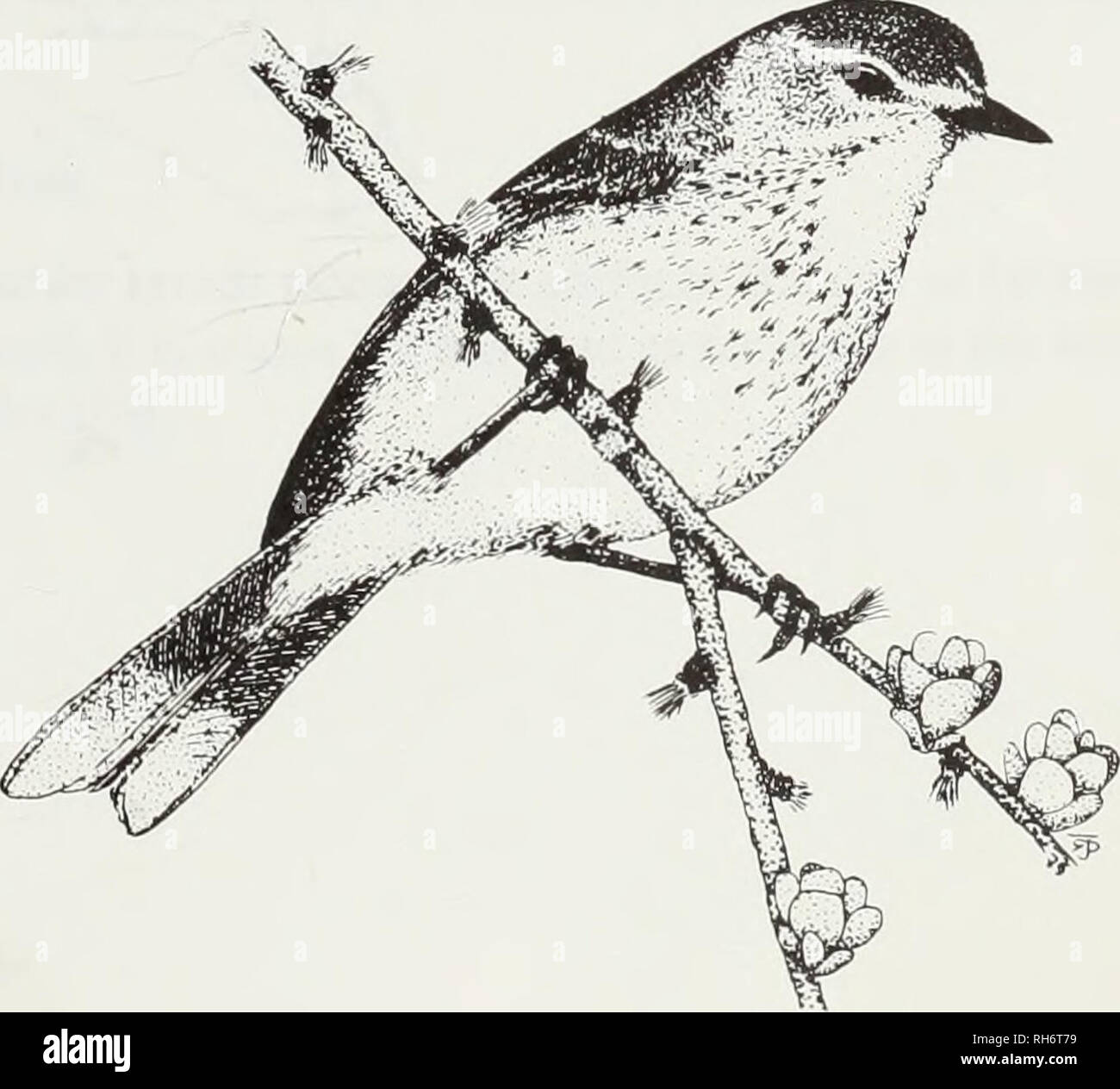 . Breeding birds of Ontario : nidiology and distribution. Birds; Birds ...