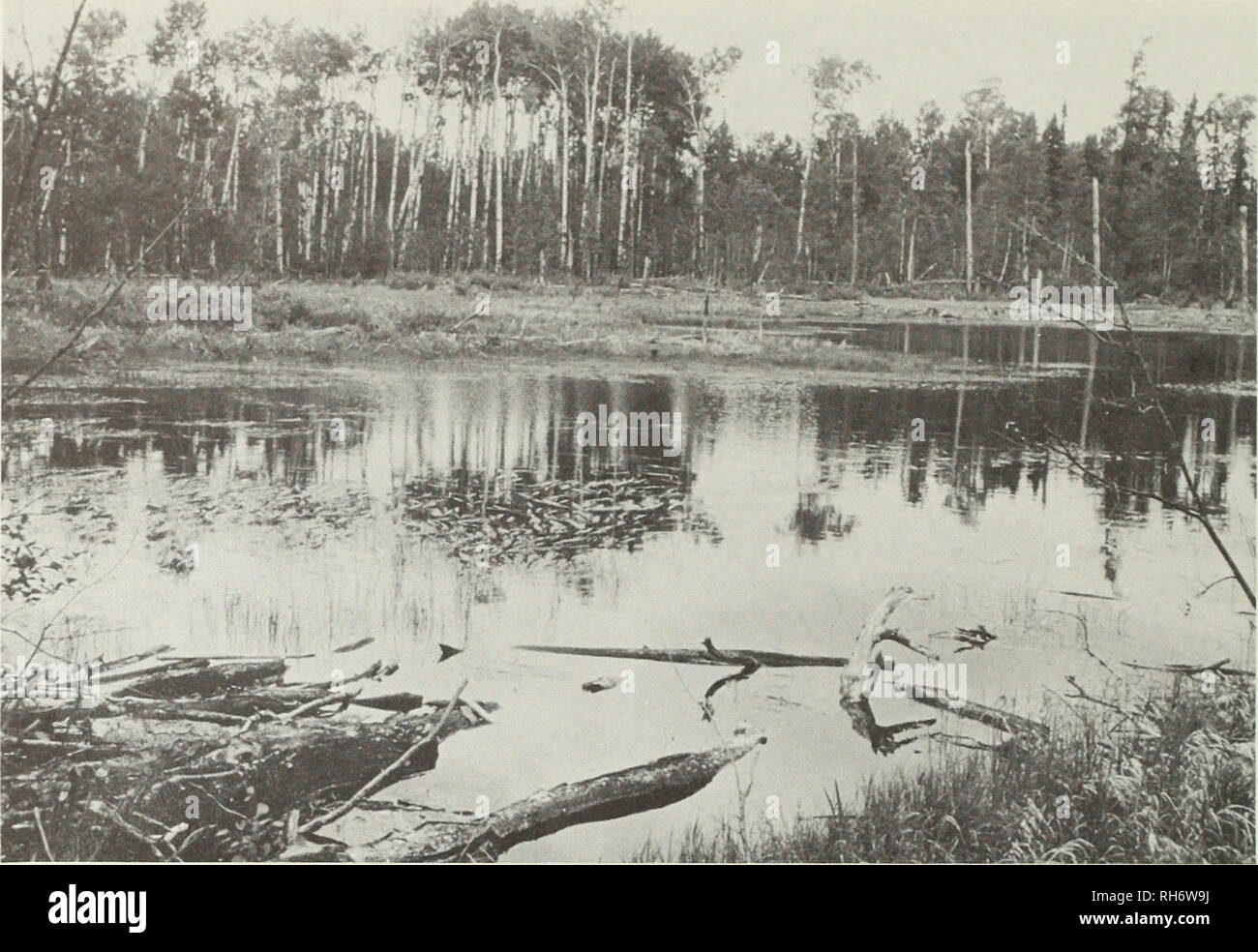 . Breeding birds of Ontario : nidiology and distribution. Birds; Birds ...