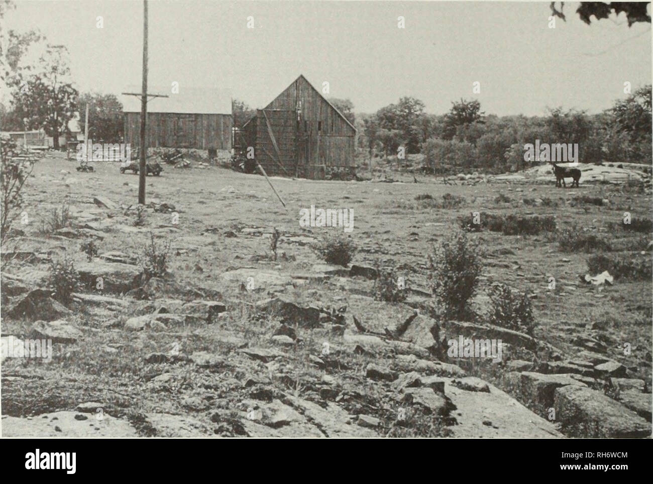 . Breeding birds of Ontario : nidiology and distribution. Birds; Birds ...