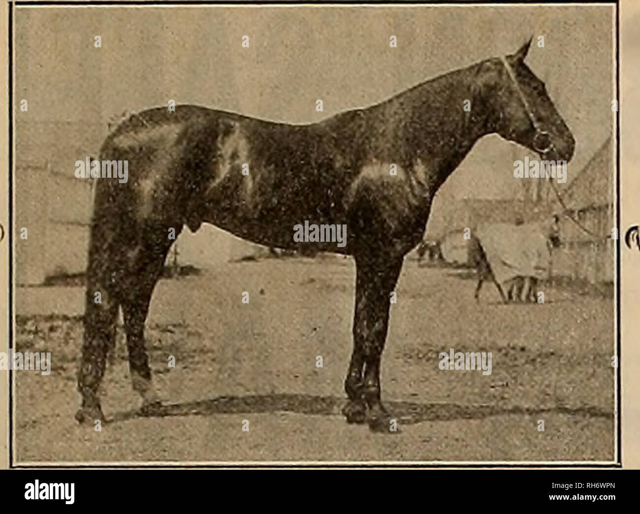 43835 hi-res stock photography and images - Alamy