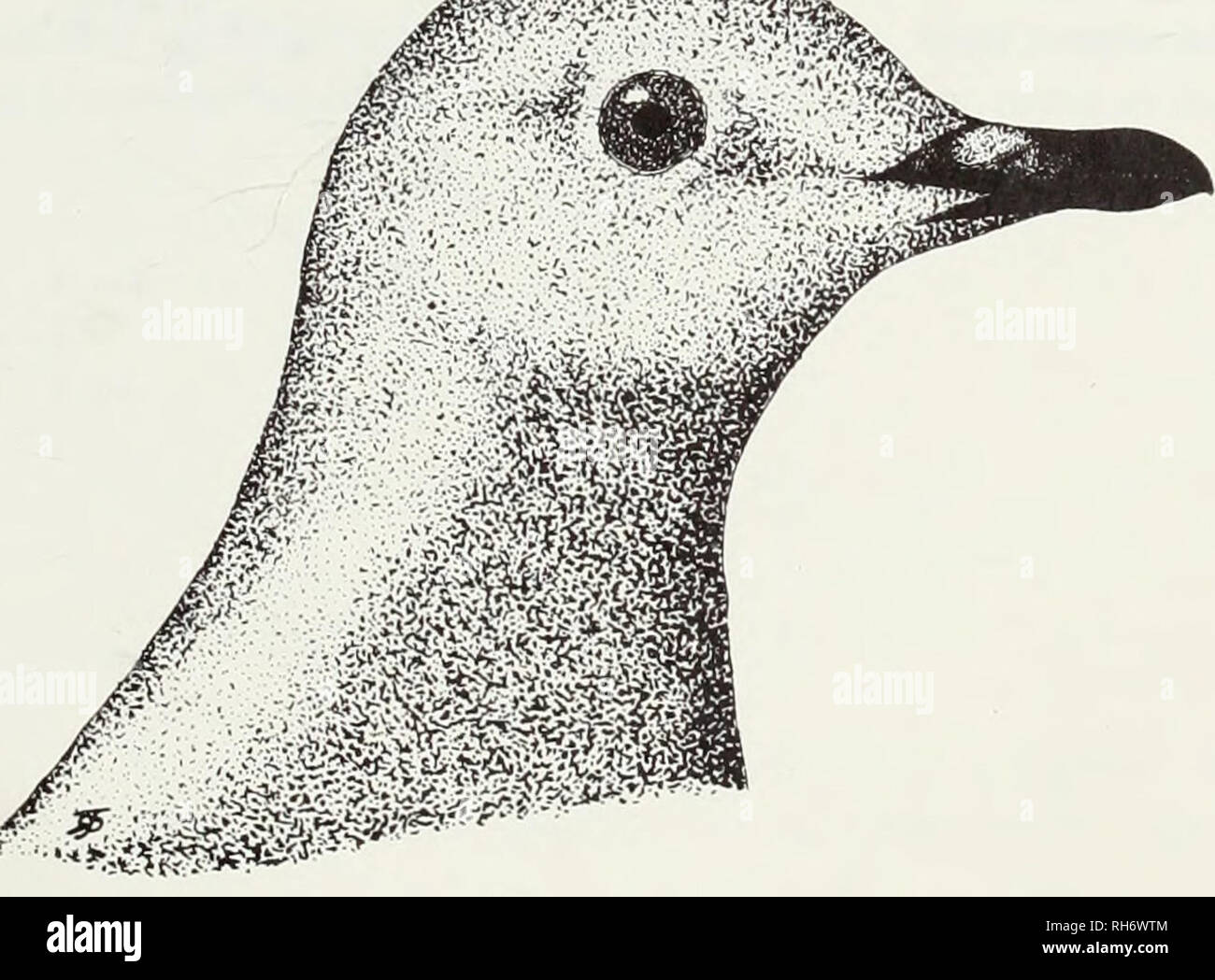 . Breeding birds of Ontario : nidiology and distribution. Birds; Birds ...