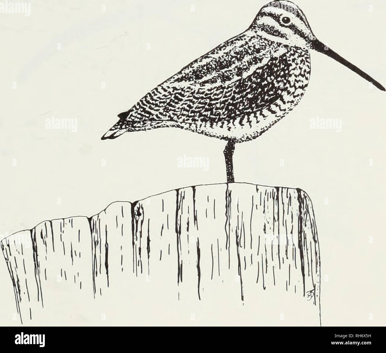 . Breeding birds of Ontario : nidiology and distribution. Birds; Birds ...