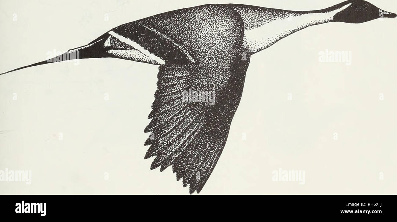 Tundra flats hi-res stock photography and images - Alamy