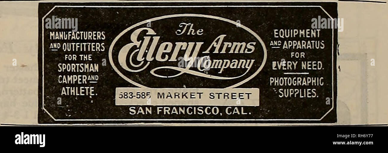 Bog spavin horse hi-res stock photography and images - Alamy