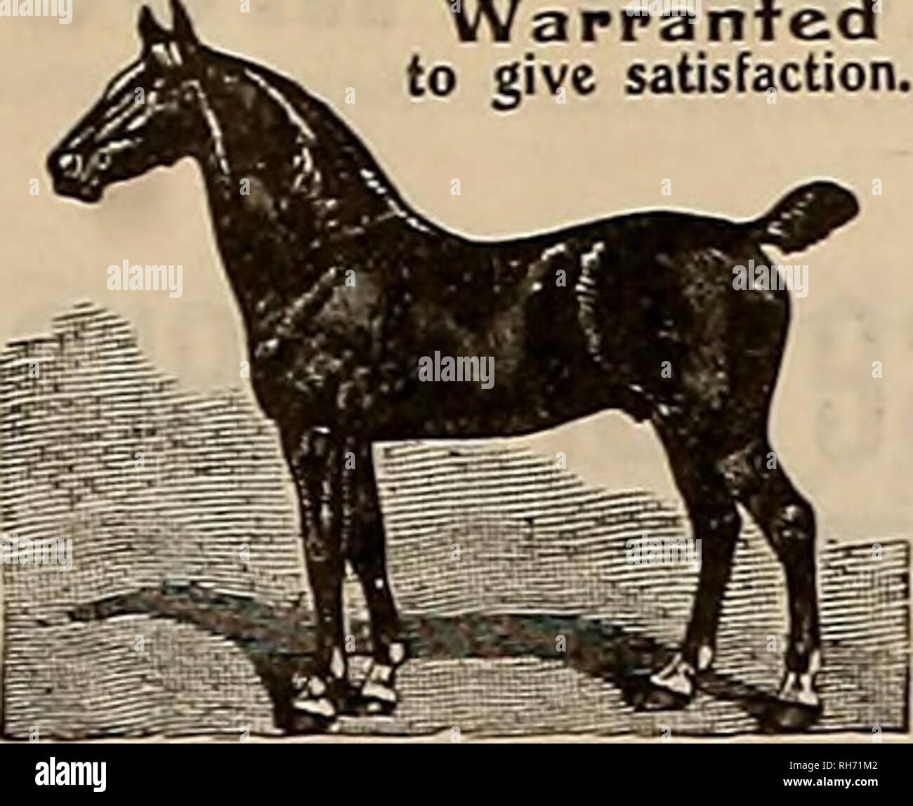 . Breeder and sportsman. Horses. FOR SALE. The standard bred and ...