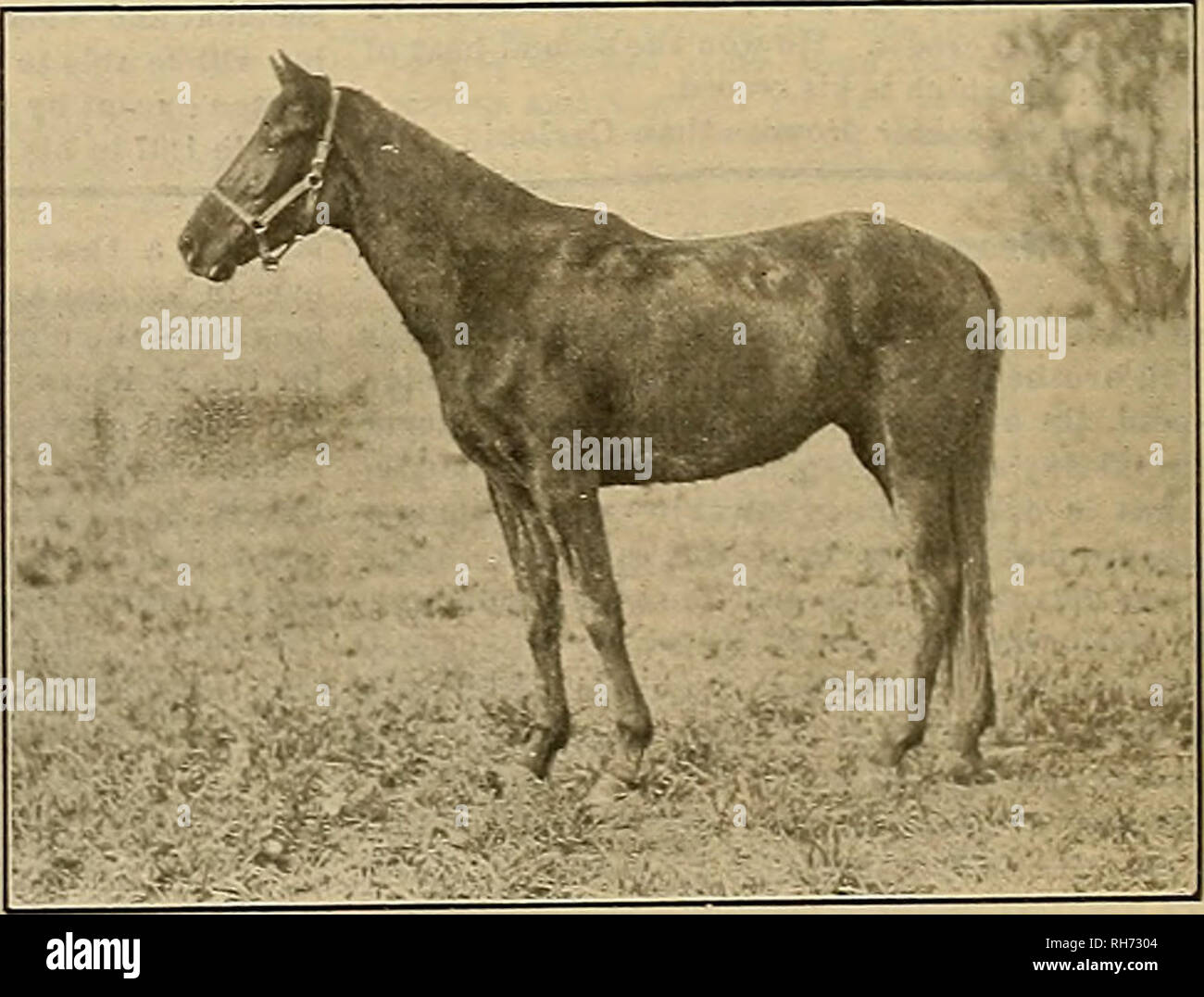 Weighs 820 pounds hi-res stock photography and images - Alamy