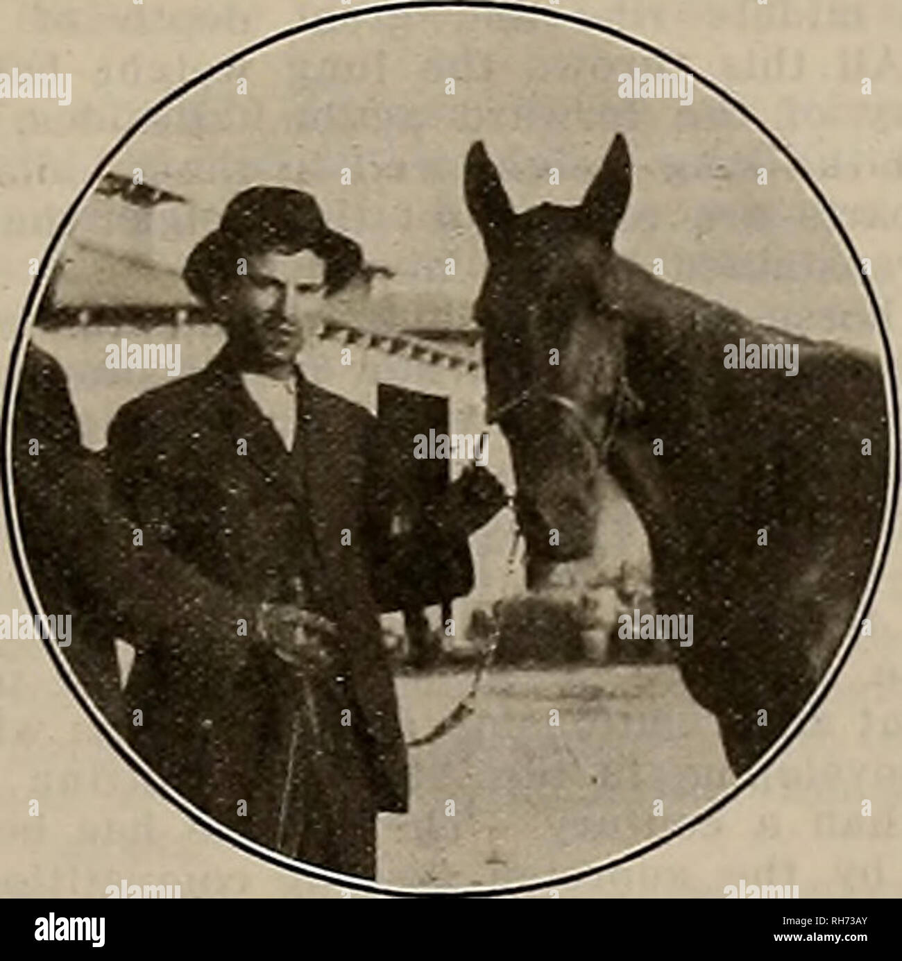 Reinsman hi-res stock photography and images - Alamy