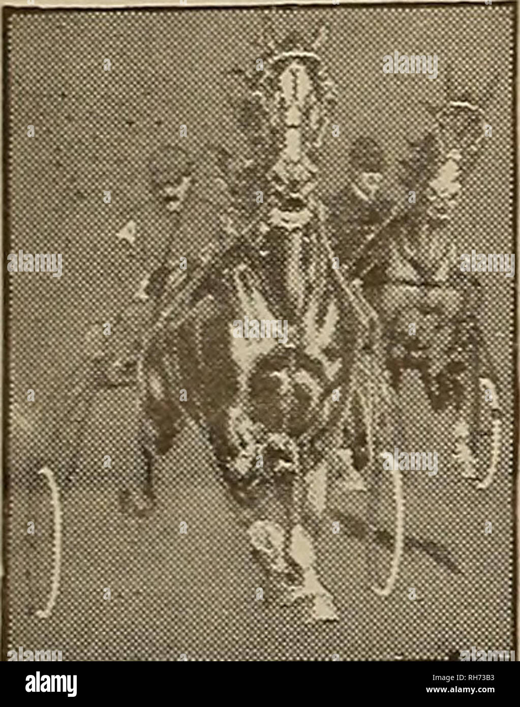 Salinas rodeo hi-res stock photography and images - Alamy