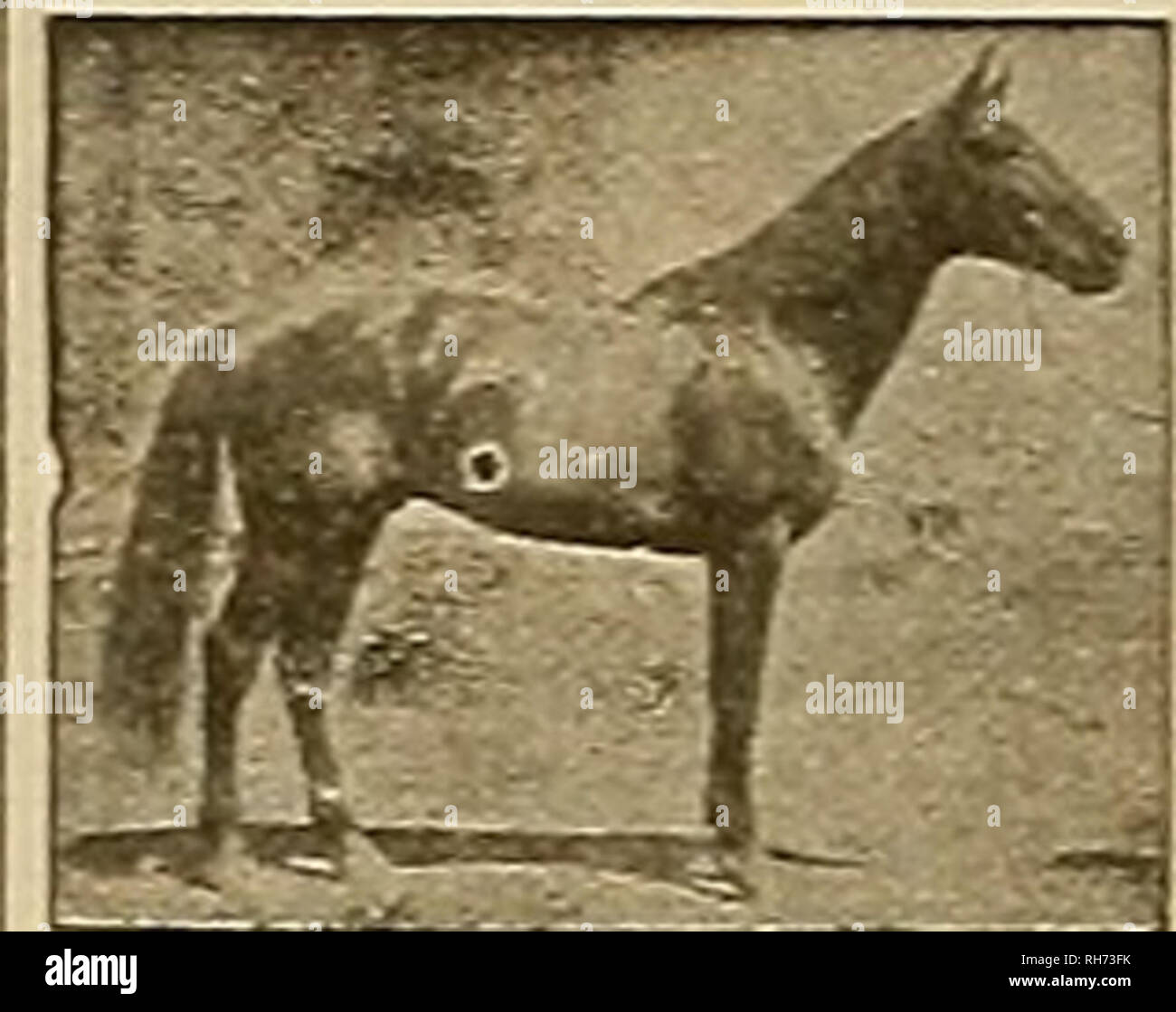 12 M Ji Class High Resolution Stock Photography and Images - Alamy