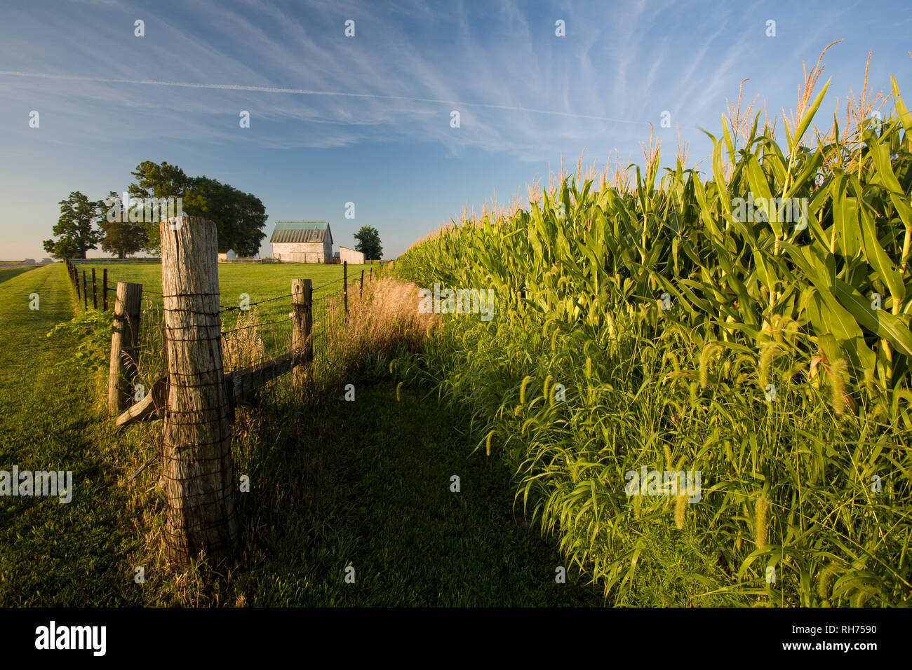 , Logan County, Illinois, USA Stock Photo - Alamy