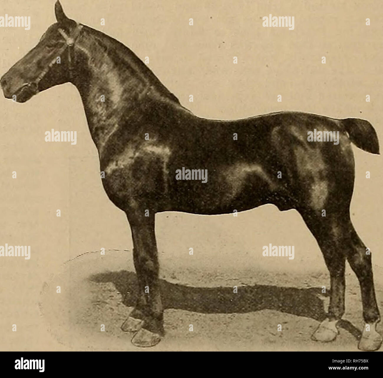 Ket car hi-res stock photography and images - Alamy