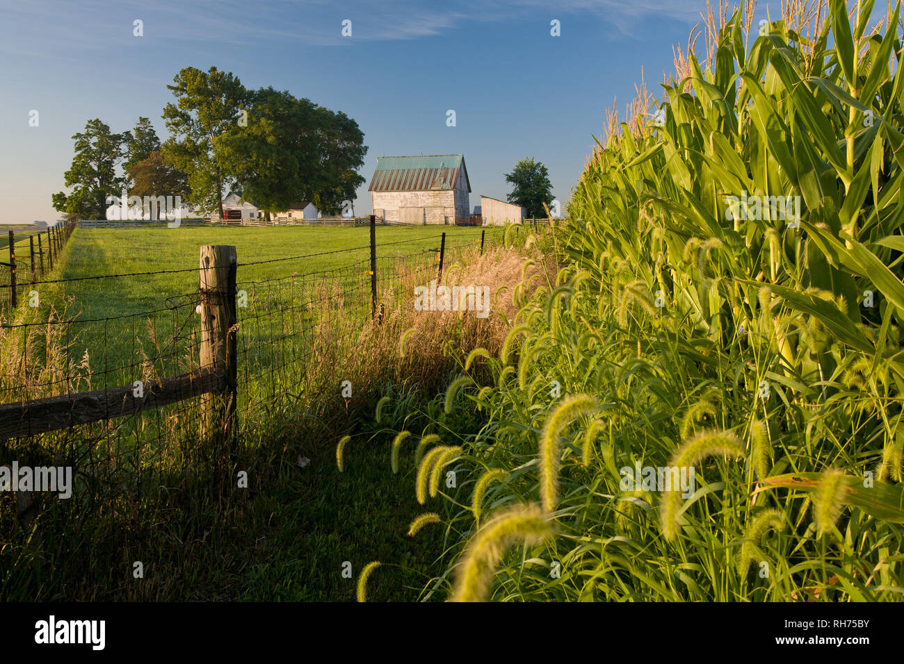 , Logan County, Illinois, USA Stock Photo - Alamy