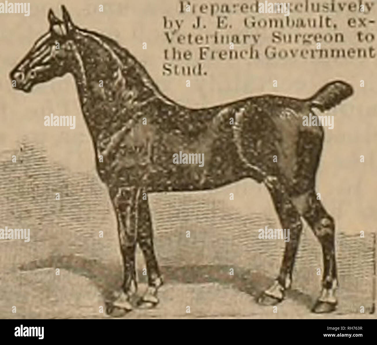 George ketcham hi-res stock photography and images - Alamy