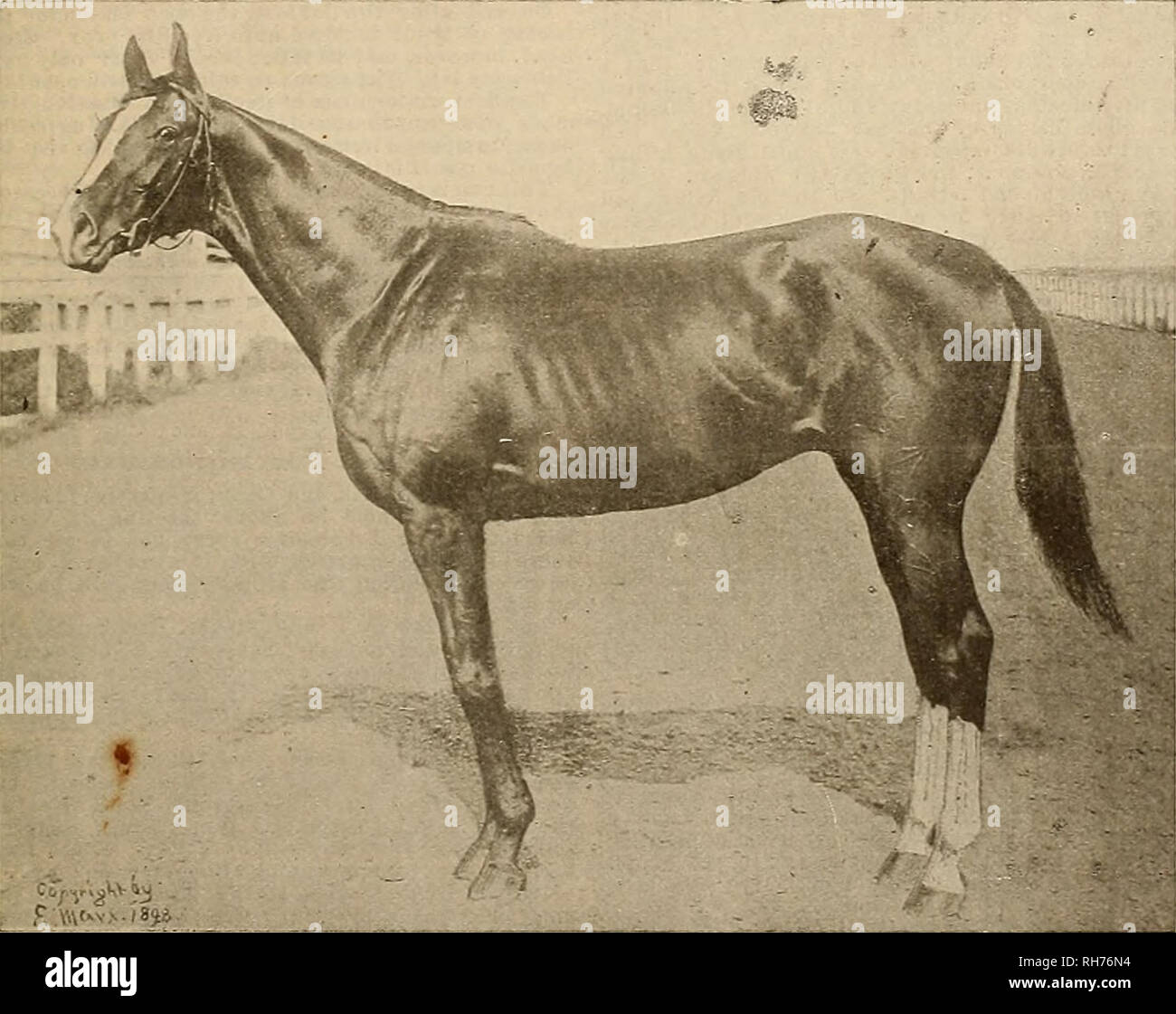 Dr william stables hi-res stock photography and images - Alamy